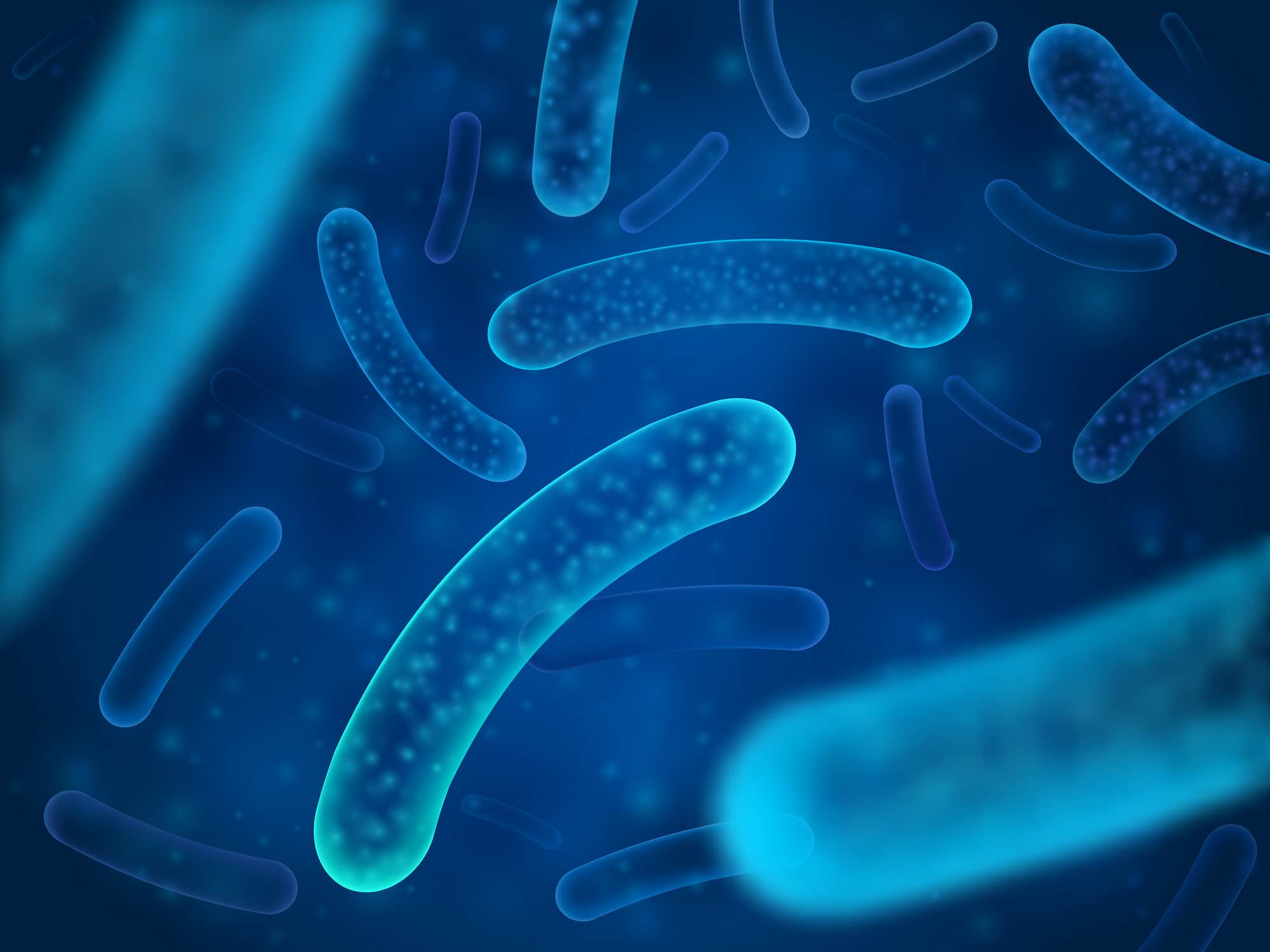 Microbiota, qué es y funciones | MedibiotiX
